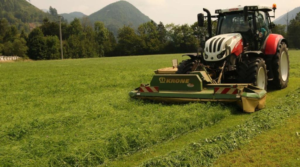 Der stille Schrei der Gräser — Milchpur