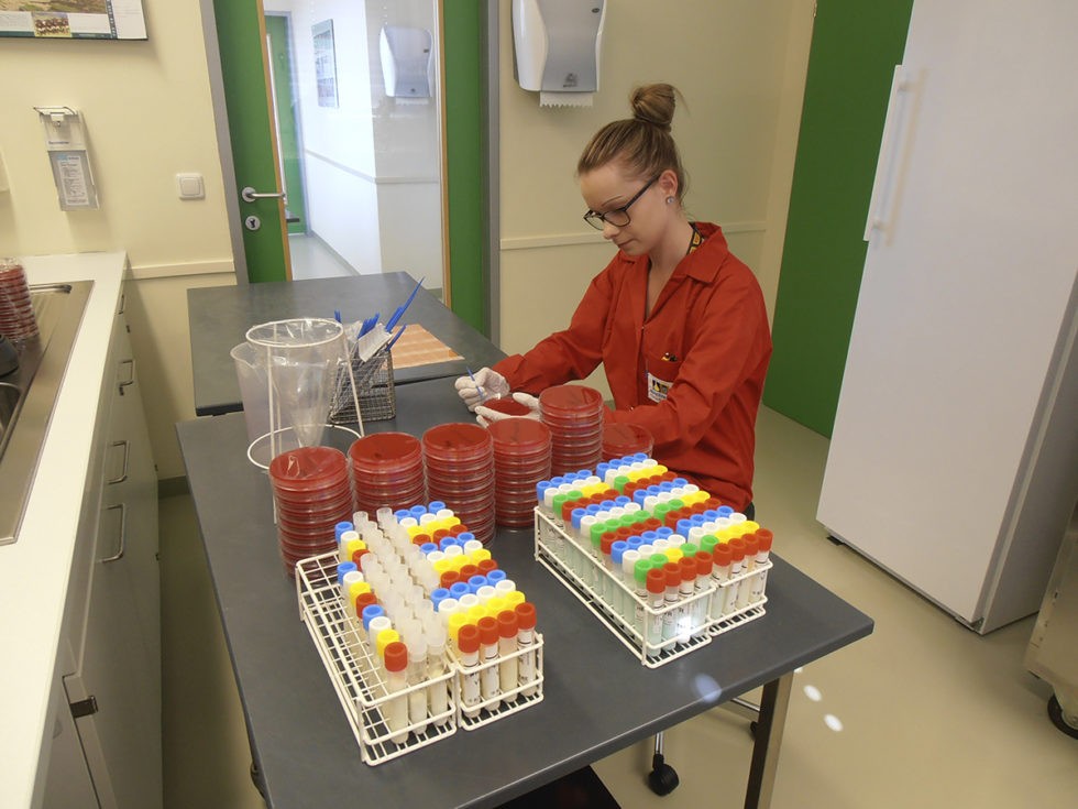 Anleitung zur Entnahme von Milchproben — Milchpur